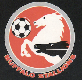 A Designer Looks at MISL Team Logos, 1980-81 – Society for American Soccer History